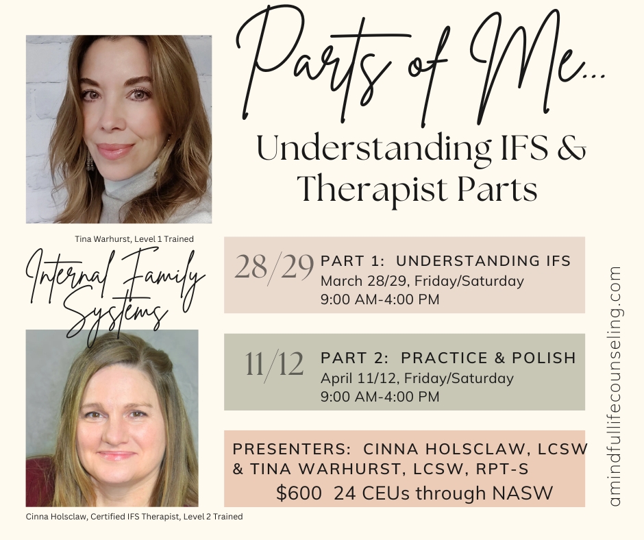 Professional Workshops & Consultation Groups – A Mindful Life ...